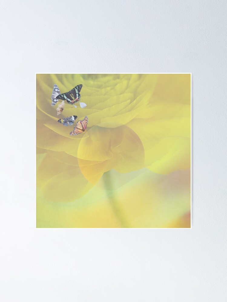 "Luminous Yellow Flower and Dancing Monarch Butterfly & Milkweed ...
