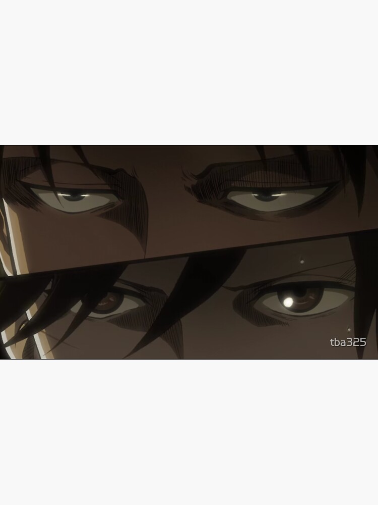 "levi and mikasa ackerman eyes" Sticker by tba325 | Redbubble