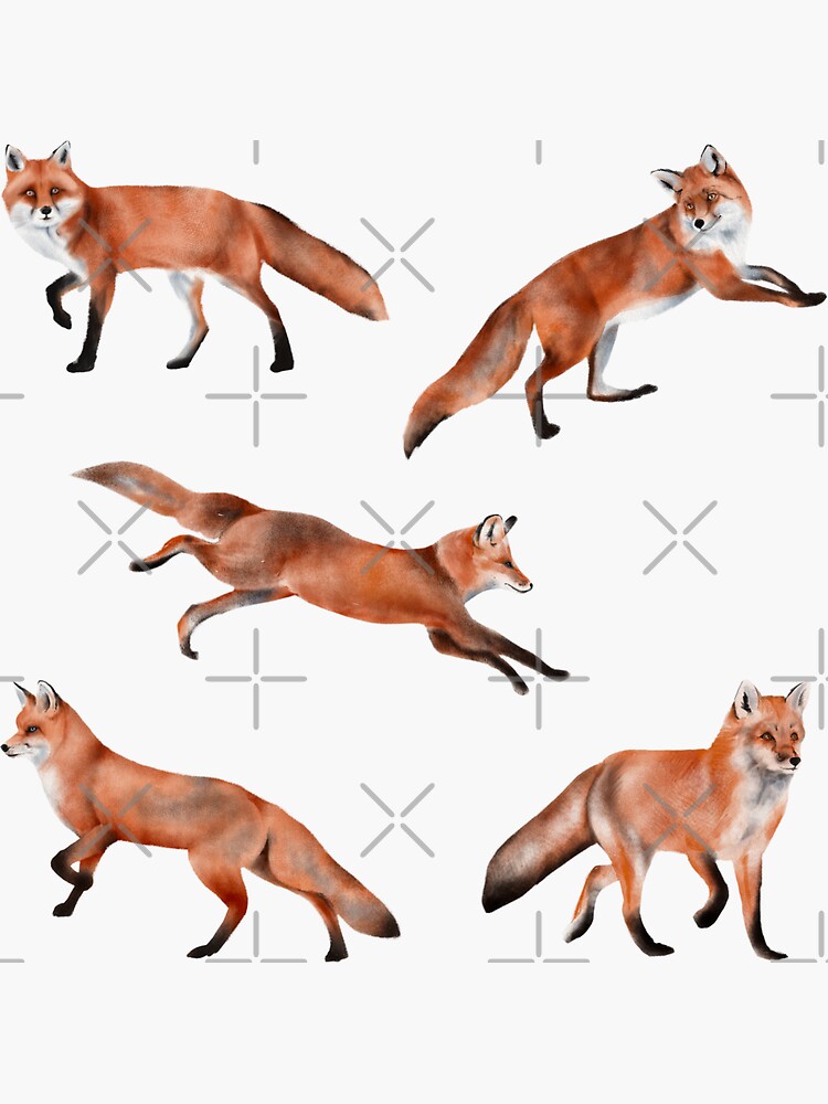 "Red Fox Pack" Sticker by Teelion | Redbubble