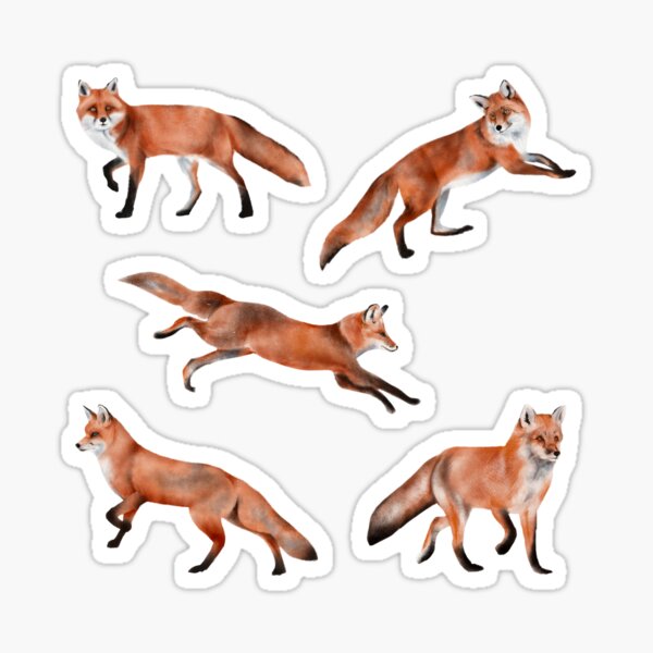 "Red Fox Pack" Sticker by Teelion | Redbubble
