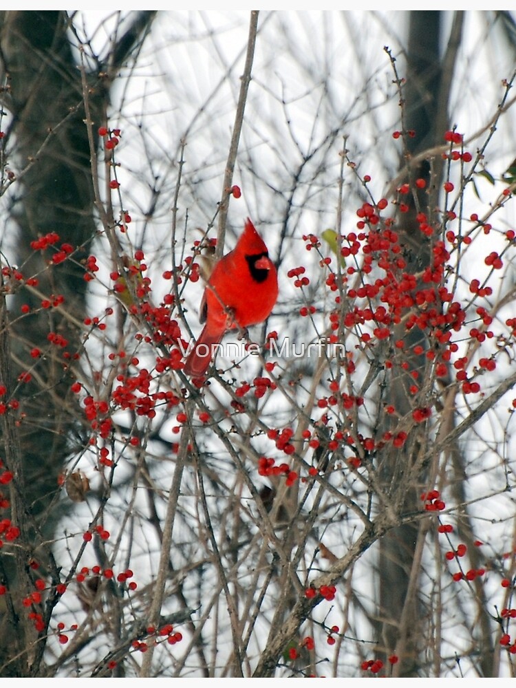 "Cardinal " Poster for Sale by vmurfin | Redbubble