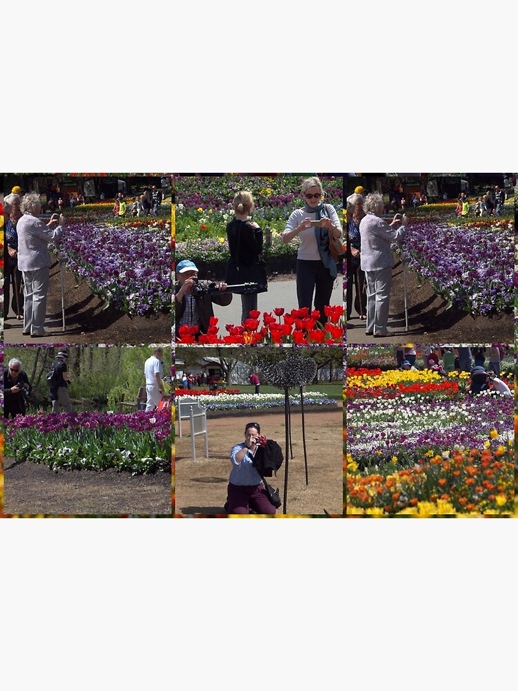 "Spring brings them out, Canberra " Poster for Sale by mcdoto | Redbubble