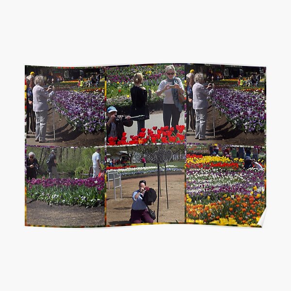 "Spring brings them out, Canberra " Poster for Sale by mcdoto | Redbubble