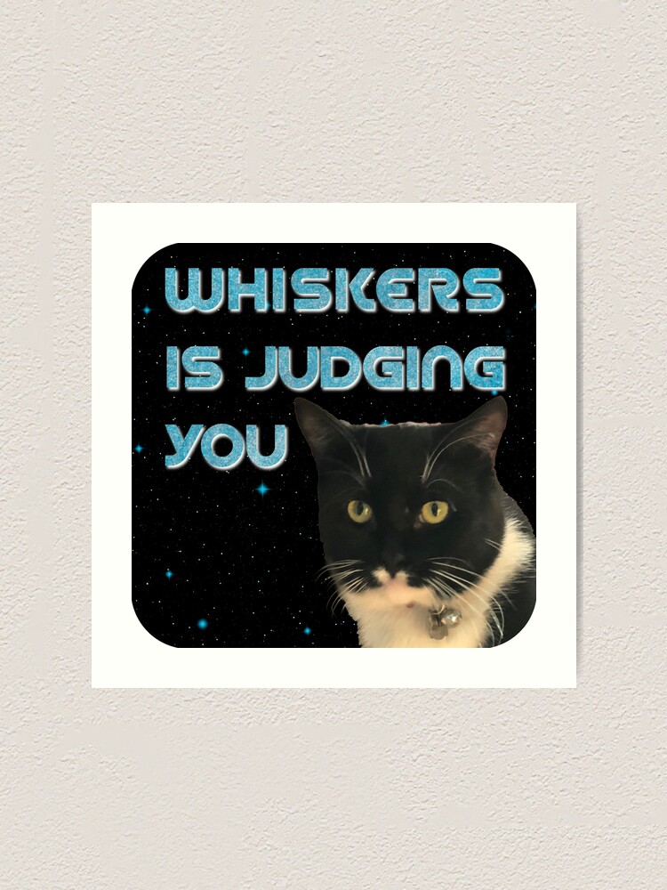 "Whiskers is judging you, cat meme " Art Print for Sale by rarebeasts ...