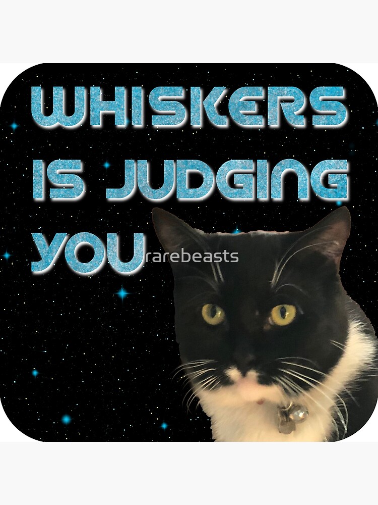 "Whiskers is judging you, cat meme " Art Print for Sale by rarebeasts ...