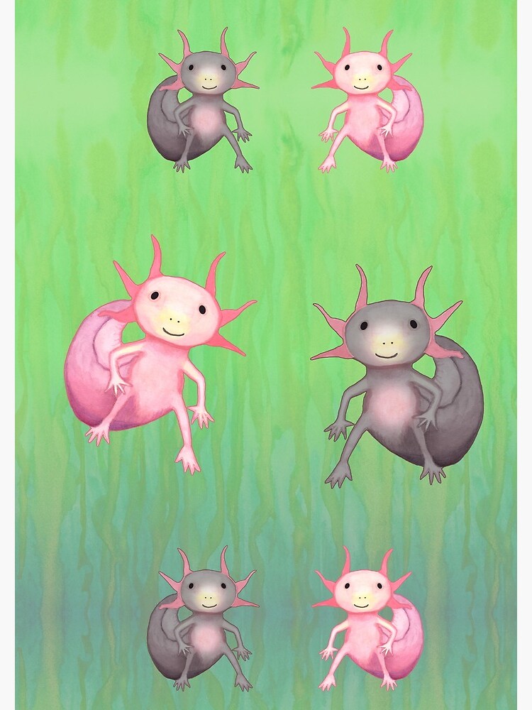 "Cute Pair of Salamanders, Pink and Black Axolotl Salamanders" Spiral ...