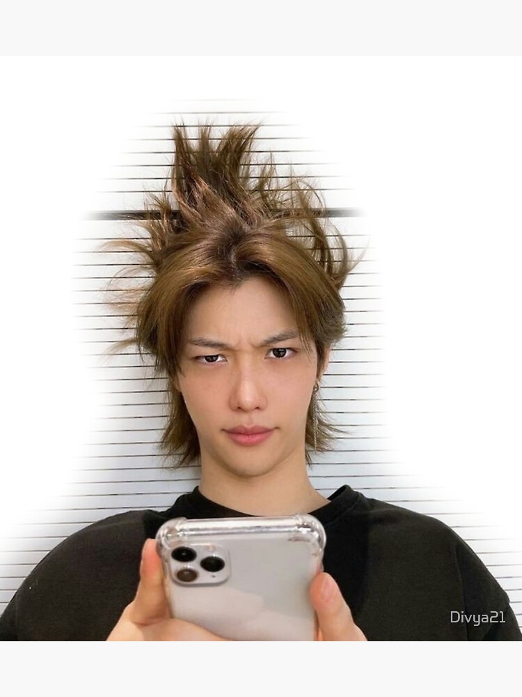 "Felix lee" Poster for Sale by Divya21 | Redbubble