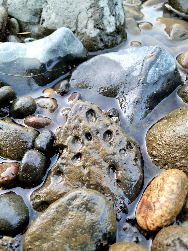 "Rock Hard Cheese" Sticker for Sale by Djjin66 | Redbubble