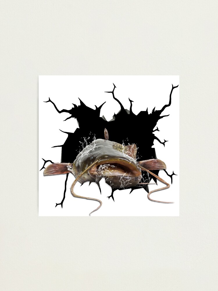 "Flathead catfish crack head vinyl car decal cuteness overloaded car ...