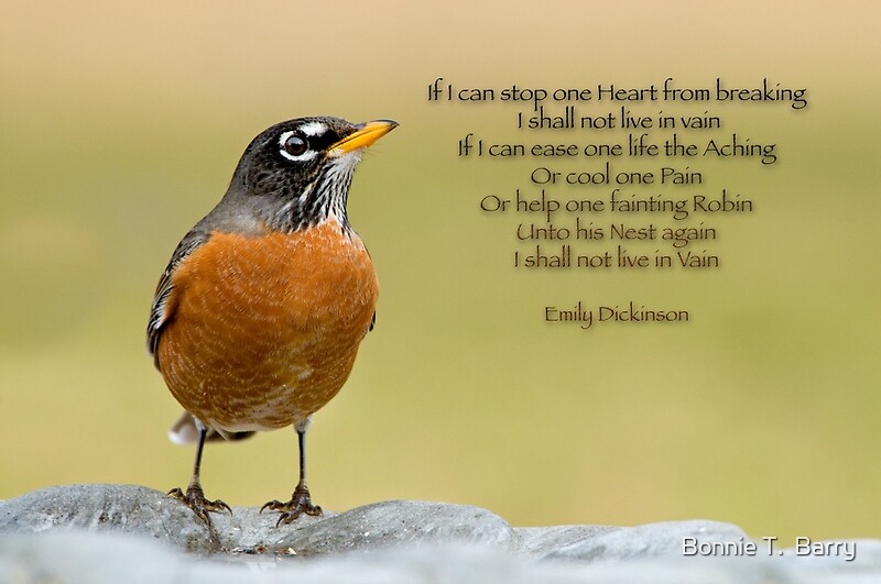 "Emily Dickinson's Robin" by Bonnie T. Barry | Redbubble