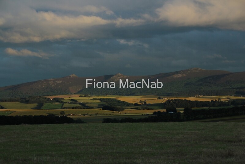 "Bennachie view" by Fiona MacNab | Redbubble