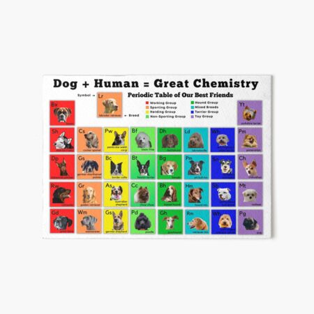 "Periodic Table of Dogs Chemistry" Art Board Print by petplushuman ...