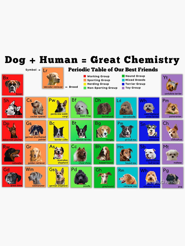 "Periodic Table of Dogs Chemistry" Sticker by petplushuman | Redbubble