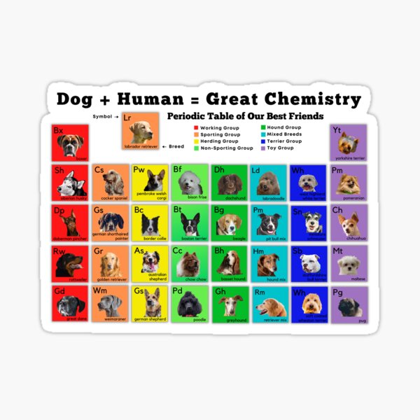 "Periodic Table of Dogs" Sticker for Sale by petplushuman | Redbubble