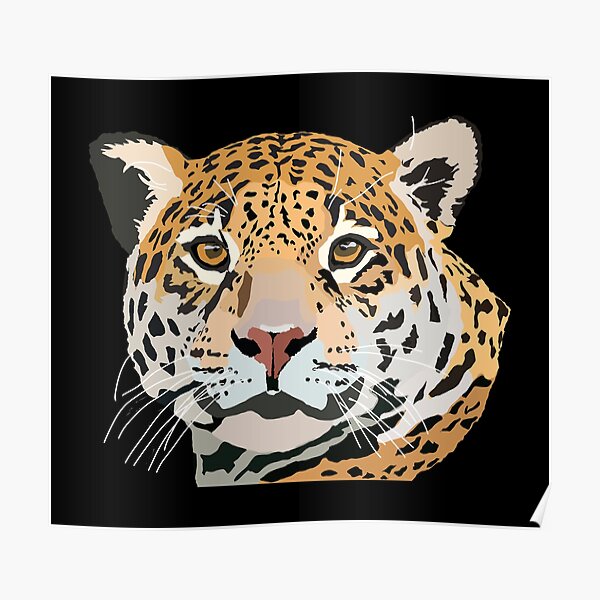 "Jaguar Stare - big cat admiration and appreciation - naturalistic ...