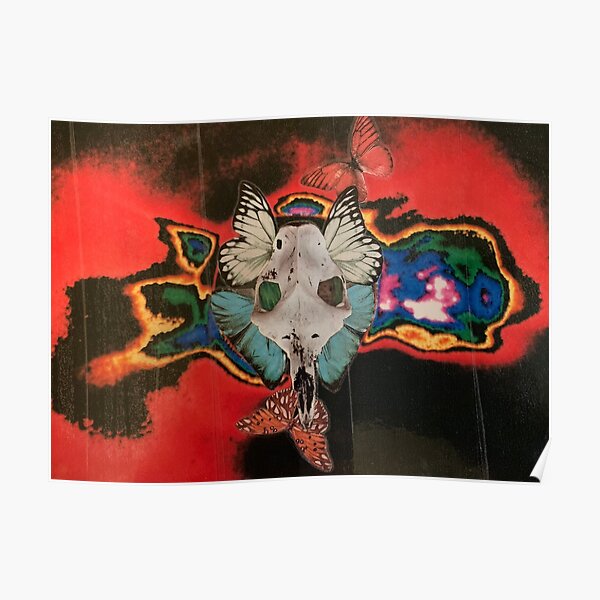 "who is she?" Poster for Sale by spyrographic | Redbubble