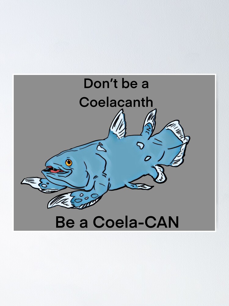 "coelacanth" Poster by Manalopangaea | Redbubble