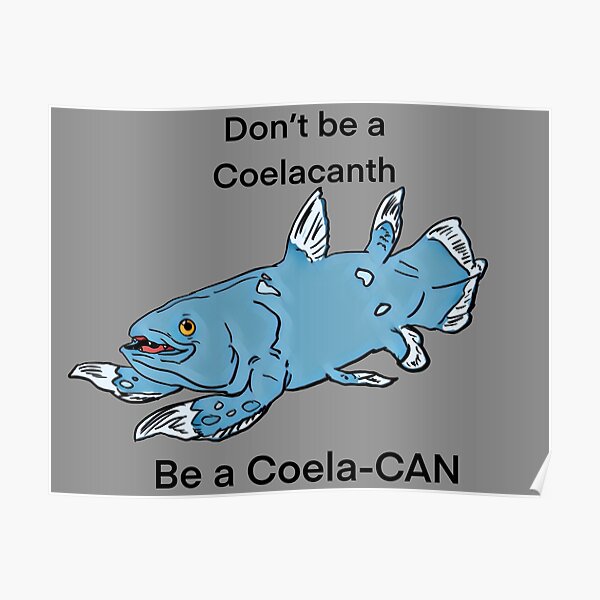"coelacanth" Poster by Manalopangaea | Redbubble