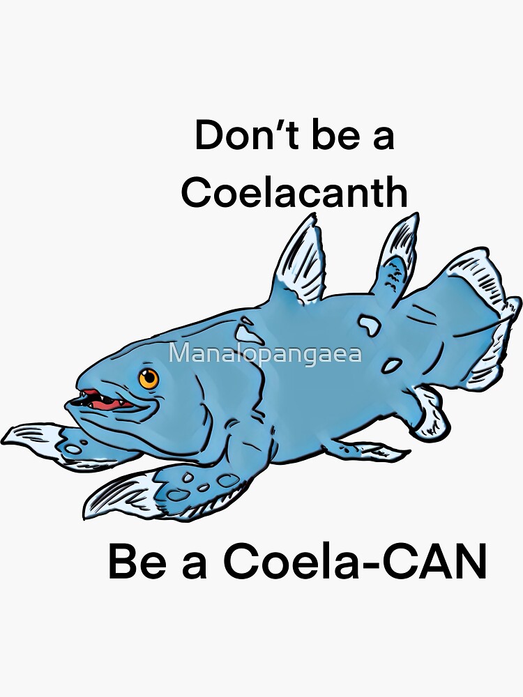 "coelacanth" Sticker for Sale by Manalopangaea | Redbubble