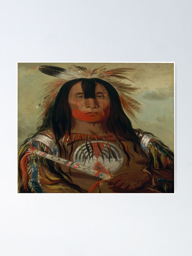 "Native American dignity, culture, history matters" Poster for Sale by ...
