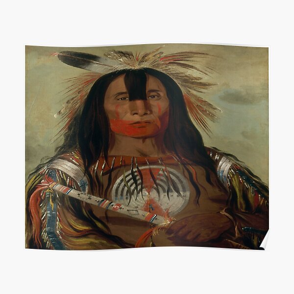 "Native American dignity, culture, history matters" Poster for Sale by ...