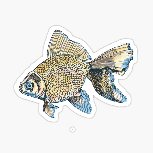 "goldfish" Sticker for Sale by StudioViArt | Redbubble