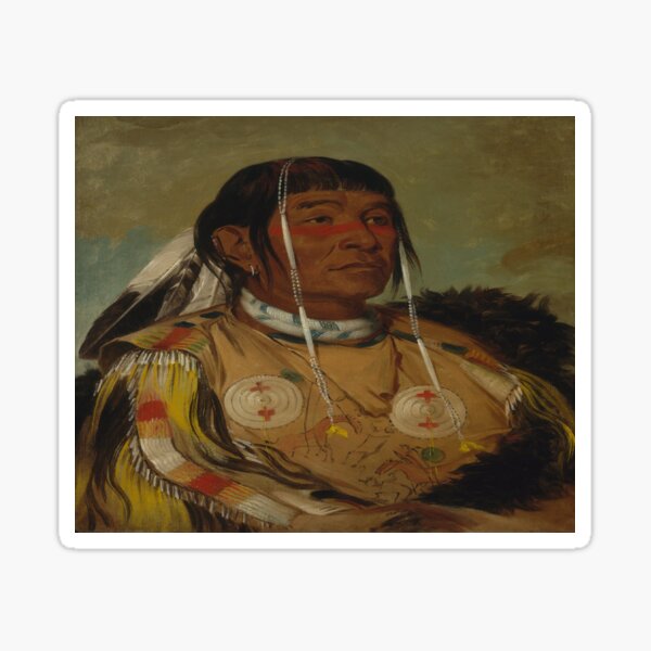 "American, Native American culture, history, dignity" Sticker by ...