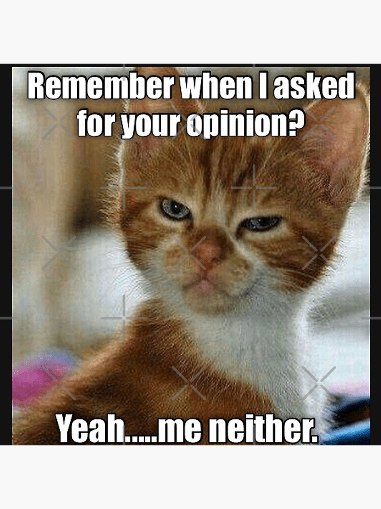 "Smarty Cat Meme" Poster by rpgtrendz | Redbubble