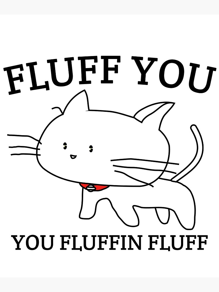 "Fluff You Fluffin Fluff Shirt, Crazy Cat Lady, Lustige Katze ...