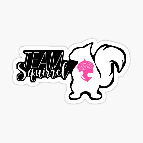 "Team Squirrel-pink acorn, white icons" Sticker by LadiSamantha | Redbubble
