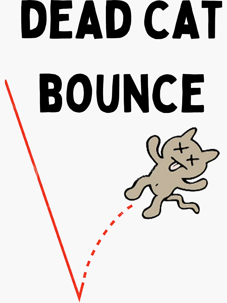 Dead Cat Bounce Memes