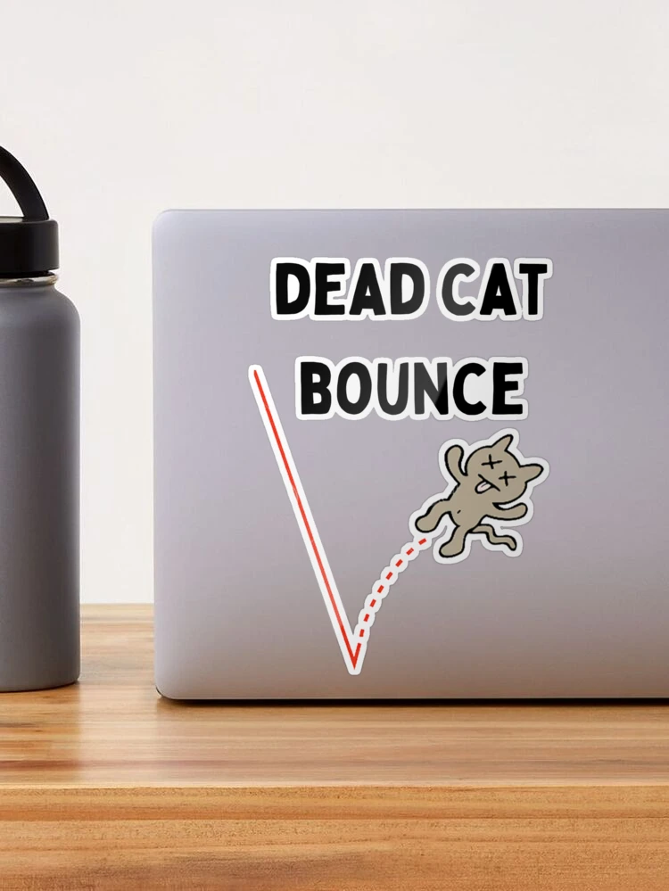Dead Cat Bounce Memes