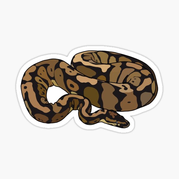 "Ball Python Sticker" Sticker by AlkiCreationsCo | Redbubble
