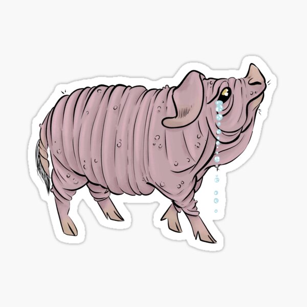 Squonk Gifts & Merchandise for Sale | Redbubble