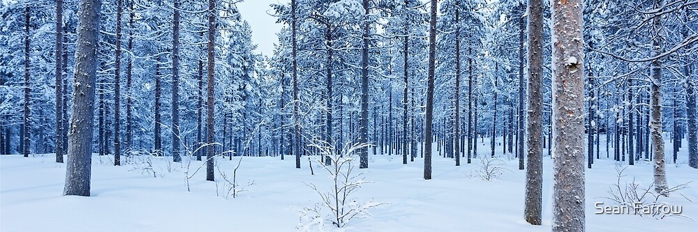 "Frozen - Levi, Finland" by Sean Farrow | Redbubble