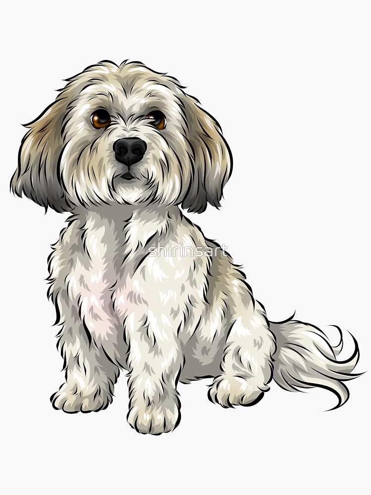 "Shichon | Zuchon | Bichon Frise Shih Tzu cross | Cute Dog Art" Sticker ...