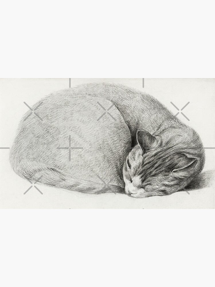 "Rolled up lying, sleeping cat - Vintage Illustration" Poster for Sale ...