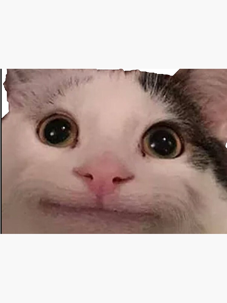 "Polite cat meme, funny cat meme" Mask by ElevenGraphics | Redbubble