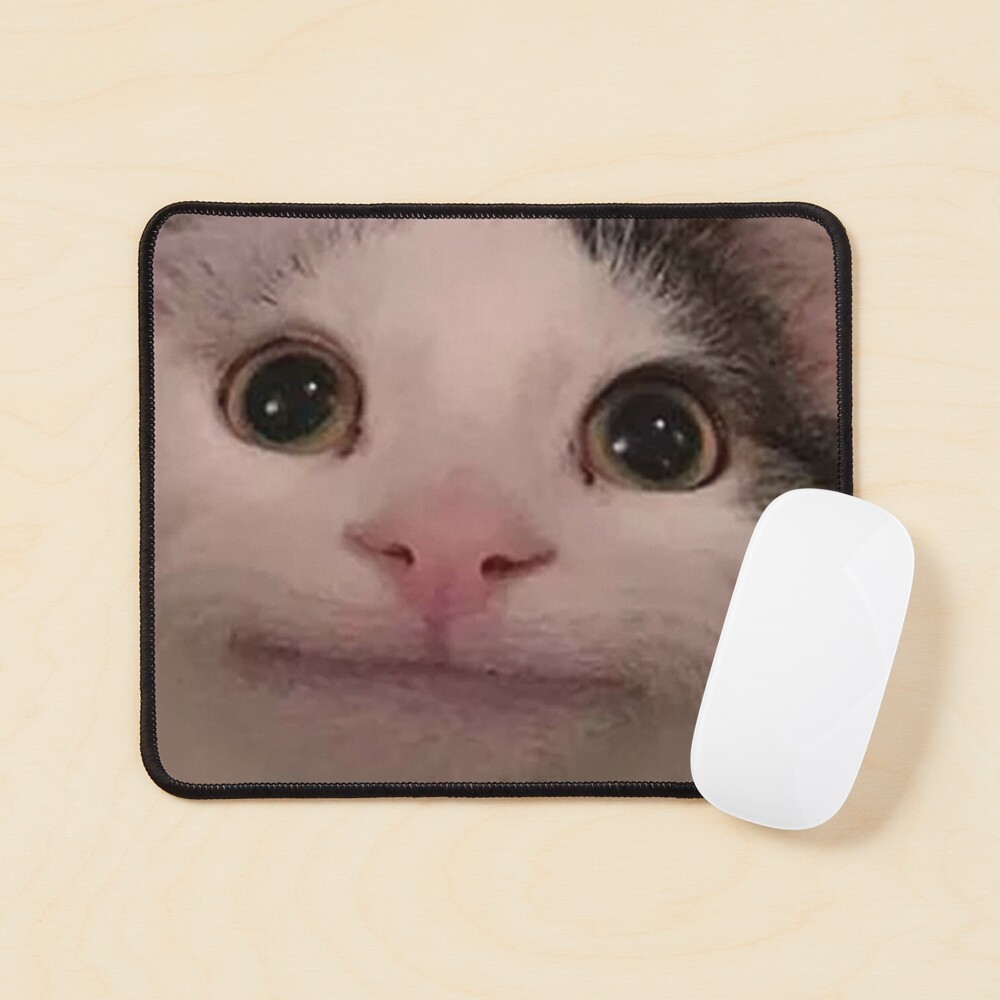 "Polite cat meme, funny cat meme" Mouse Pad for Sale by ElevenGraphics ...