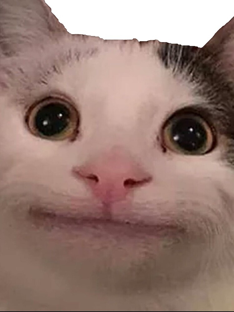 "Polite cat meme, funny cat meme" Mini Skirt for Sale by ElevenGraphics ...