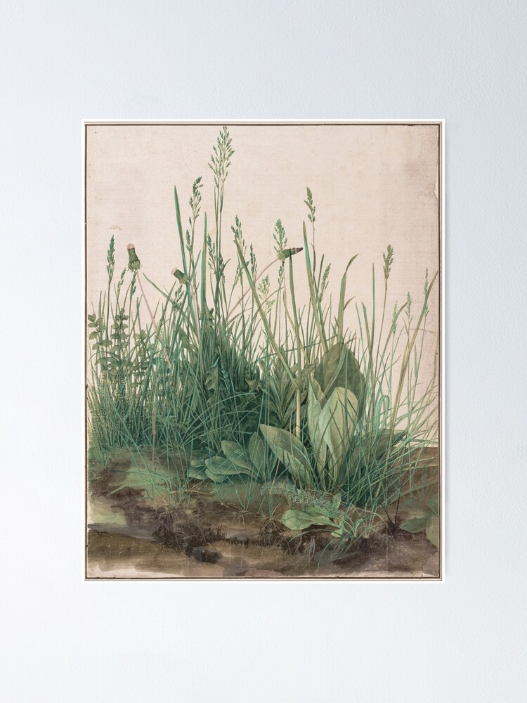 "Albrecht Dürer The Large Piece of Turf" Poster for Sale by ...