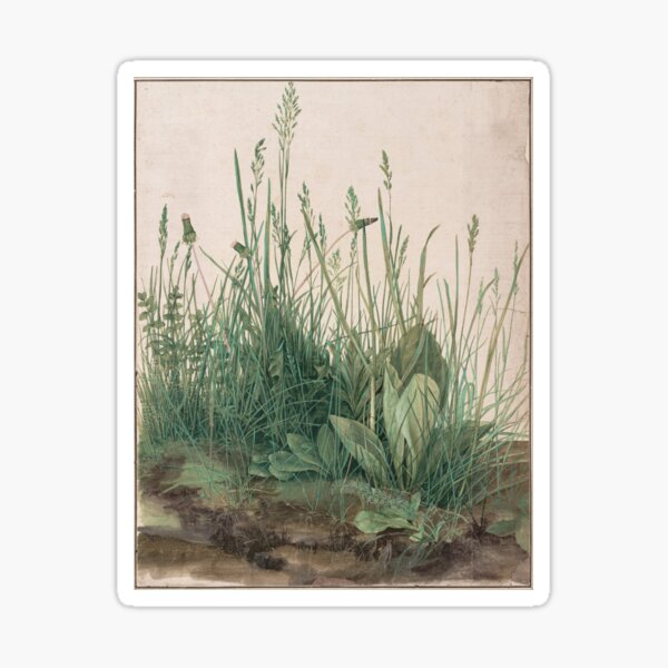 "Albrecht Dürer The Large Piece of Turf" Sticker for Sale by ...