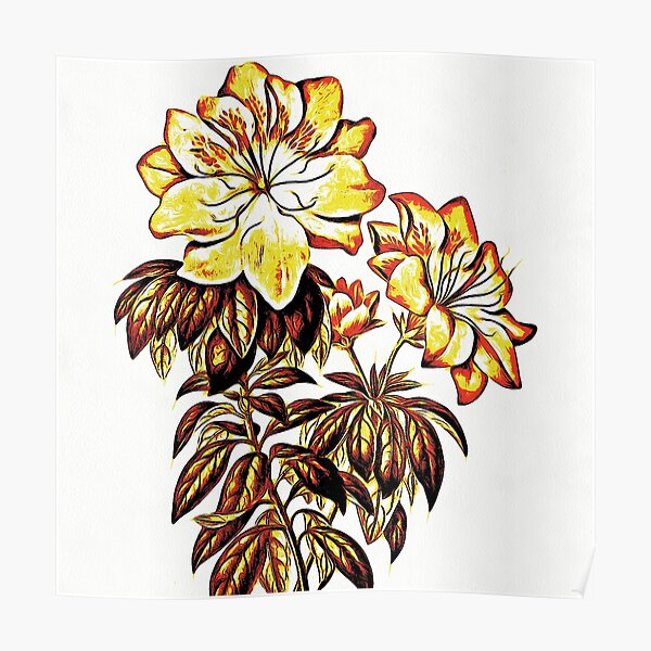 "Azalea in graphic novel style " Poster for Sale by Casiel31 | Redbubble