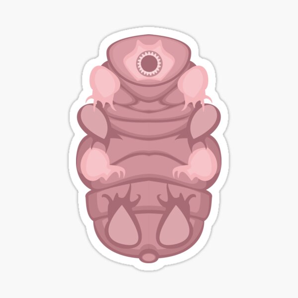 "Tardigrade" Sticker for Sale by AnNuttin | Redbubble