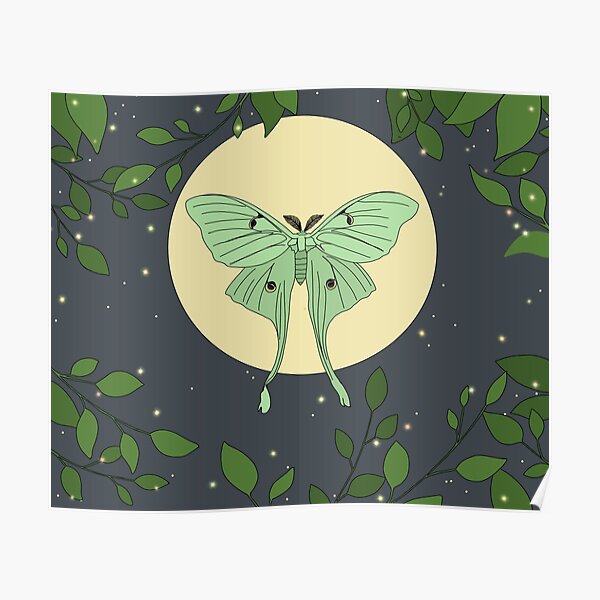 "Moonlight moth" Poster for Sale by DesertJade | Redbubble