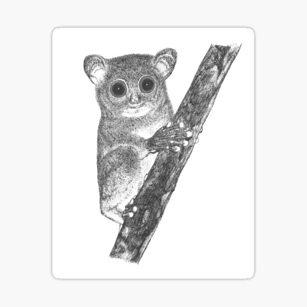 Tarsier Gifts & Merchandise | Redbubble