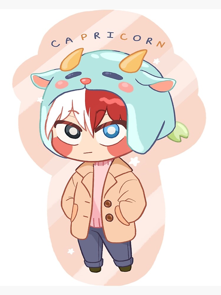 What Is Shoto Todoroki Zodiac Sign at Graig White blog