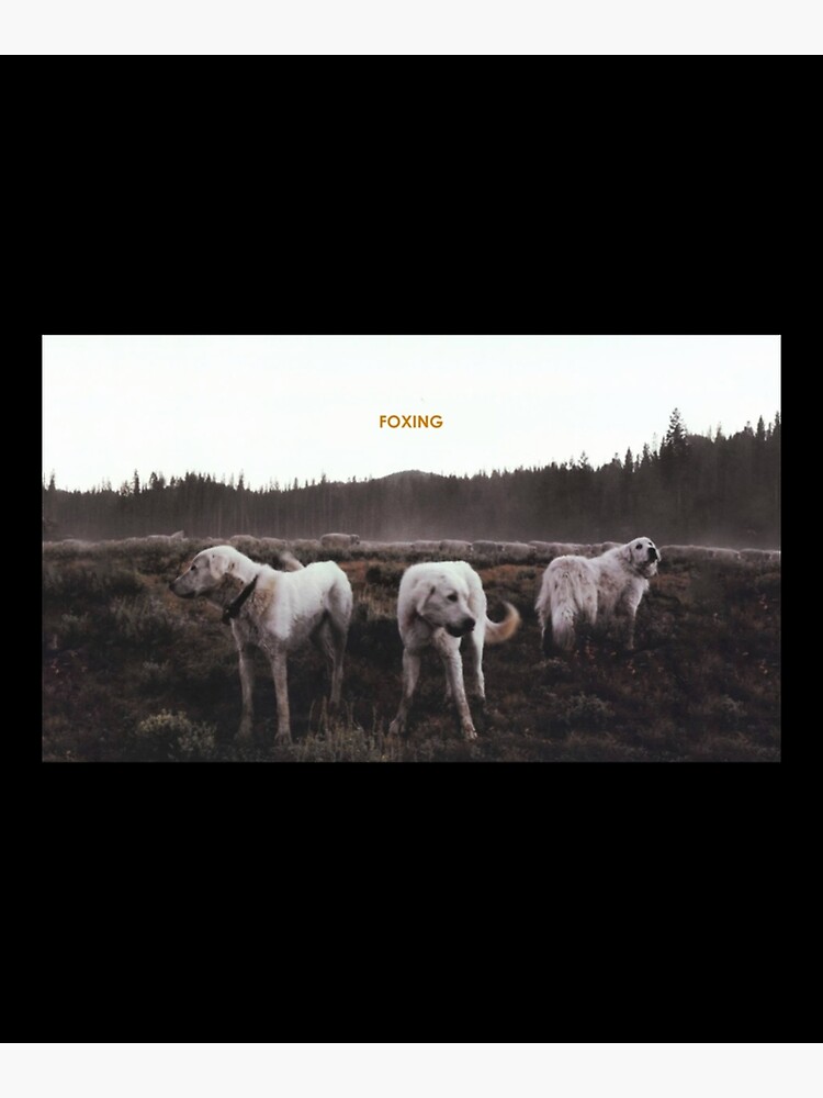 Póster «Carátula del álbum FOXING» de StencilRev | Redbubble