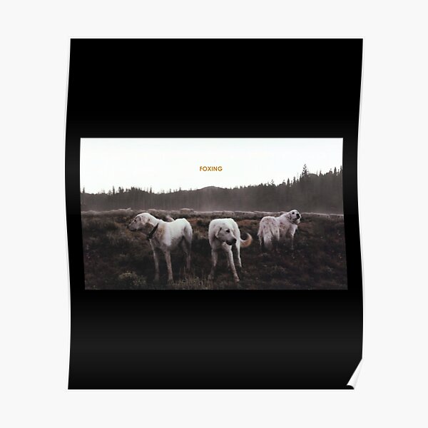 Póster «Carátula del álbum FOXING» de StencilRev | Redbubble