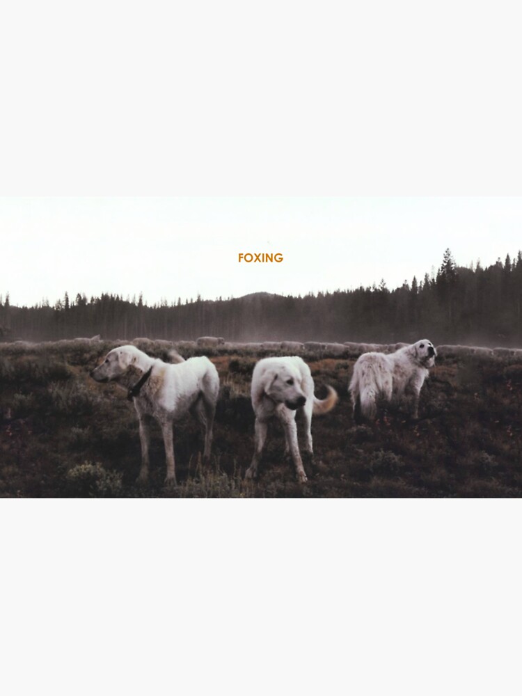 "FOXING album artwork" Sticker for Sale by StencilRev | Redbubble